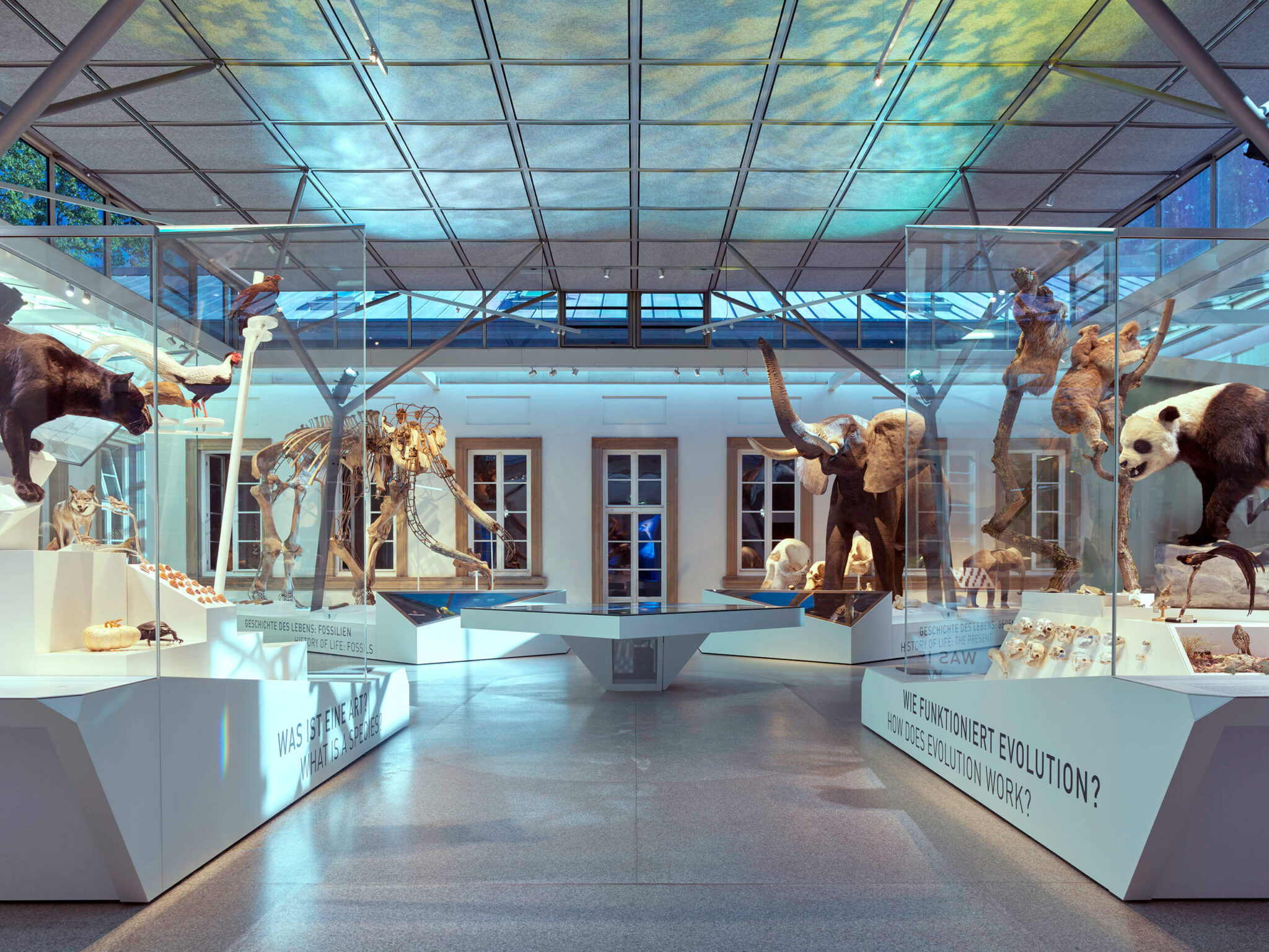 Naturkundemuseum Stuttgart – Schloss Rosenstein / Stuttgart – Vitrinen ...